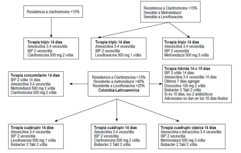 Helicobacter Pylori - Todos los tratamientos disponibles ♦